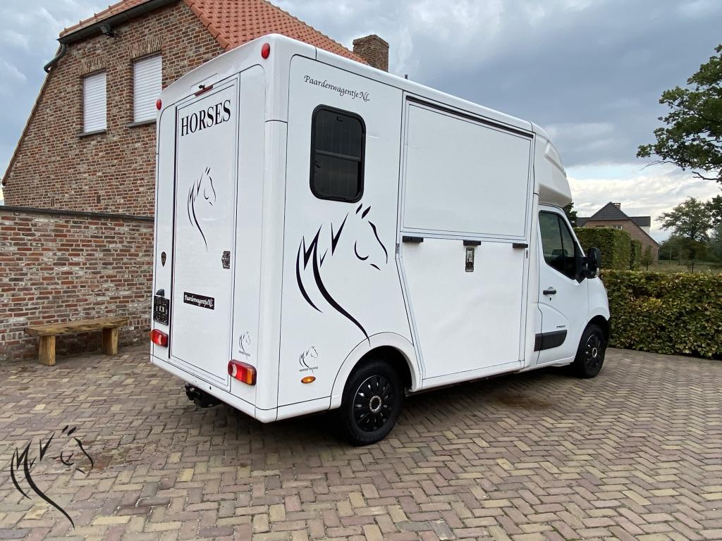 RENAULT PARAGAN EQUISTAR 3 | Paardenwagentje•nl